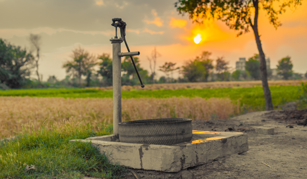 Bridging Cultures: The Black Scottish Experience in a Changing World ...